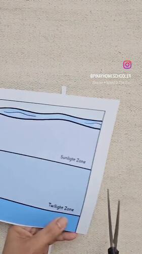 Layers of the Ocean (Ocean Zones) Montessori 3 Part Cards | 4 Part Cards