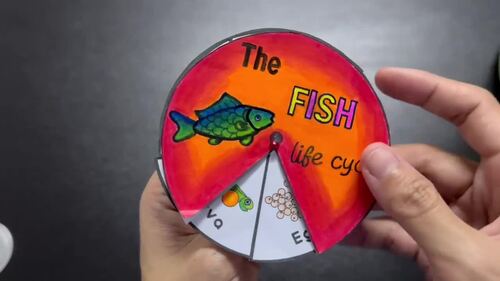 Fish Life Cycle Activities – Flipbook, Worksheets, Spinner, Puzzles & More!