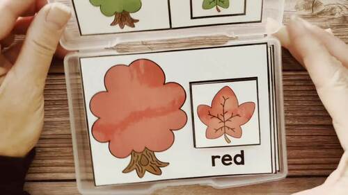 November Task Cards- Literacy & Math Activities- Preschool, Kinder ...
