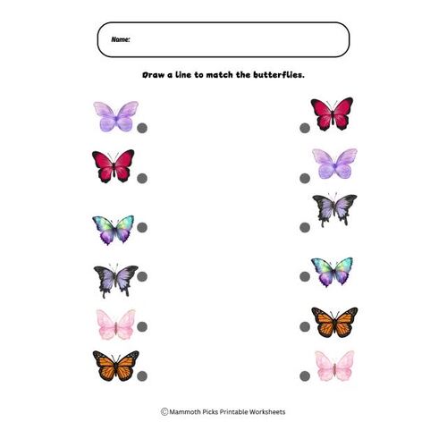 Spring Matching Identical Pictures No Prep Visual Discrimination OT Session