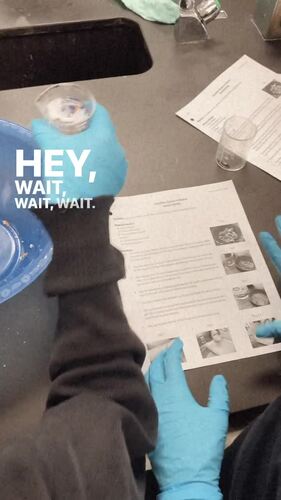 SBI3U Digestive System Lab: Bread Digestion Simulation/Activity | TPT