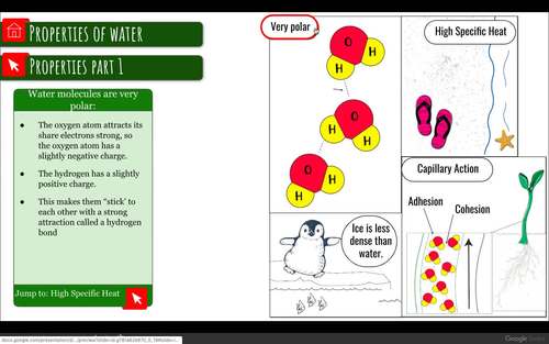 Properties of Water Interactive Diagram by Science With Mrs Lau | TPT