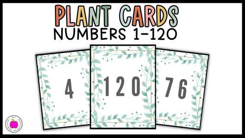 Classroom Number Line Display for Classroom Decor / Plant Cards 1 - 120