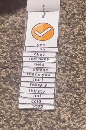 Printable Tiered Communication Cards Lanyard by kirsty Yiu | TPT