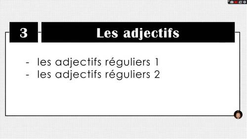 Le Point de Grammaire - les adjectifs by LA BRUNETTE | TPT