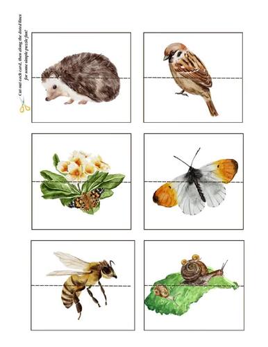 Garden Creatures Unit Study and activity Pack, 3-6 years old by ...