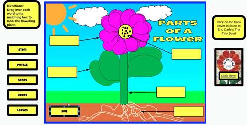 Parts Of A Flower Digital Activity - Distance Learning by K's Digital Store