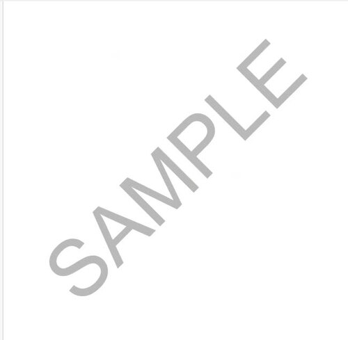 Misty of Chincoteague Novel Units® Student Packet Novel Study | TPT