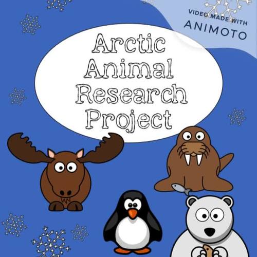 Arctic Animal Research Project by luckylearningpod | TpT