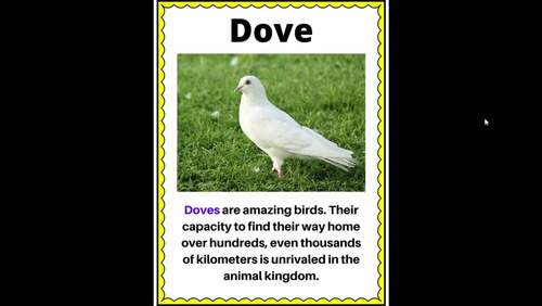 Let's learn about Birds. 16 Flash cards with fun Facts for kids ( real ...