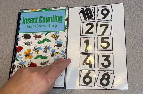 Insect Counting Self Correcting Adapted Book / Bug Numbers Adaptive Book