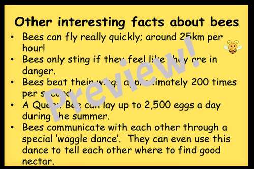 World Bee Day Complete Pack by Ciara's Classroom | TpT