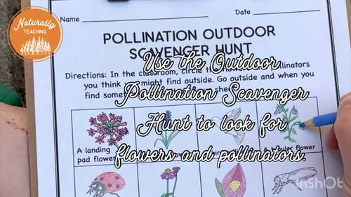 Outdoor Pollination Scavenger Hunt for 2nd Grade by Naturally Teaching
