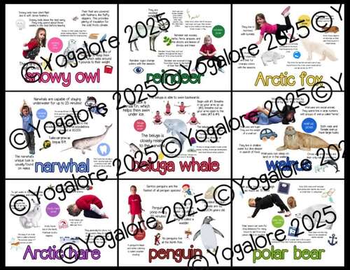 Arctic Animal Fact Posters With Yoga & Movement for Preschool and ...