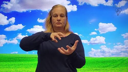 ASL Unit 1 Video 29 by Melissa Sexton | TPT