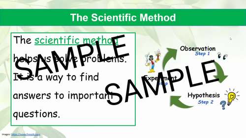 Scientific Method Slides Presentation for Lower Elementary | TPT