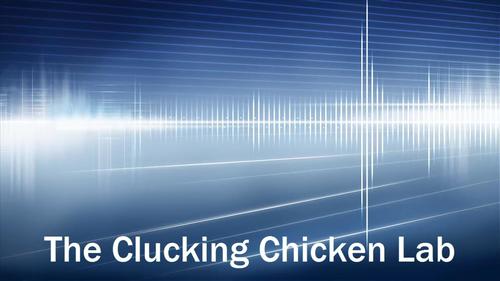 Clucking Chicken Sound Activity - Vibration, Pitch, Volume, Energy, Amplify