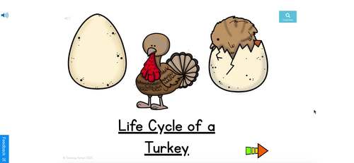 Life Cycle of a Turkey | Thanksgiving Boom Cards by Teaching Autism