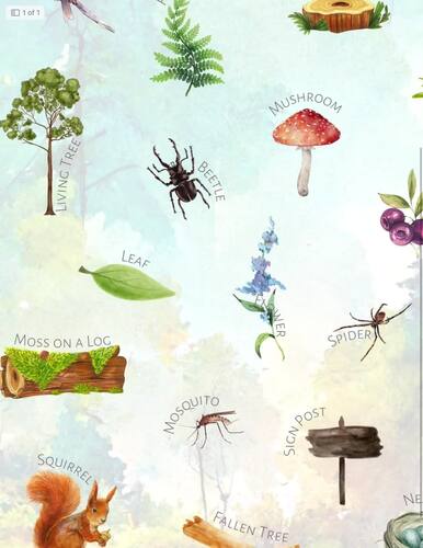 Forest Scavenger Hunt, Outdoor Activities, Nature Walk, Earth Science ...