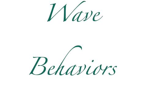 Wave Behaviors by Physics Hawk | TPT
