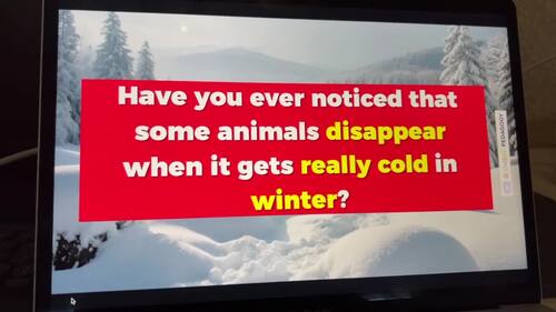 Hibernation Activities | Winter Animals Science Unit | Worksheets ...