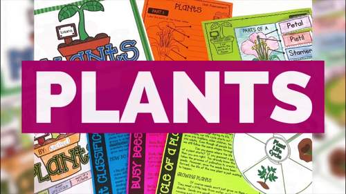 Plant Classification, Plant Life Cycle, Pollination & MORE! | TpT