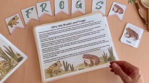 Frog Unit Study - Frog and Toad Life Cycle & Anatomy Learning Bundle vs ...