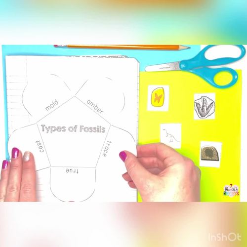 Fossil Activities Interactive Science Notebook 3rd 4th 5th Grade