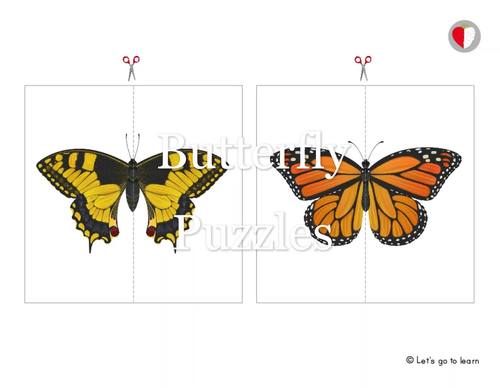 Butterfly Matching Activity - 26 Puzzles - Symmetry - Matching Games