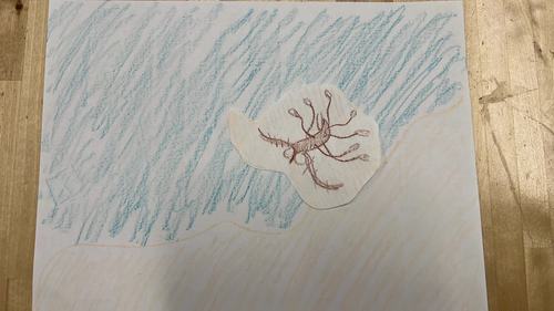 Fossil STEM Activity | Stop Motion Animation | TPT