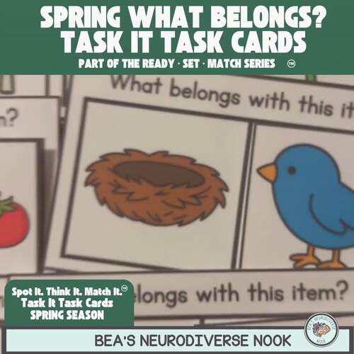 Spring What Belongs Task Cards | Autism Matching Activity | Special ...