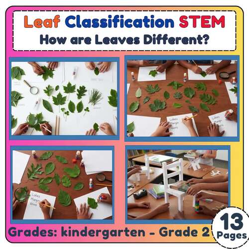 Leaf Classification STEM | How Are Leaves Different? | Plant STEM For K ...