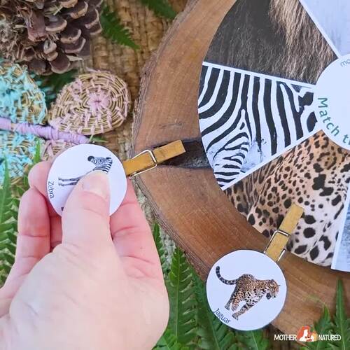 Animal Matching Activity BUNDLE | Animal Patterns | Pattern Activity