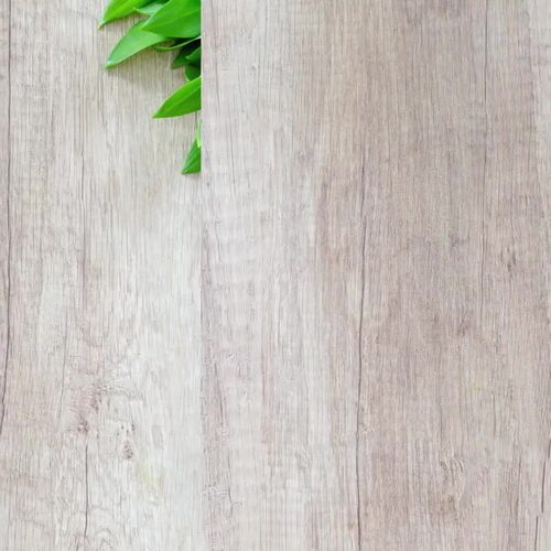 Expository Explanatory Writing Prompts Grade 4 Graphic Organizers ...