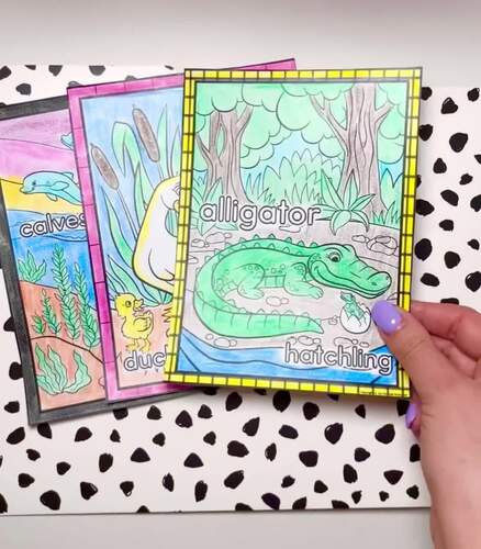 Baby Animal Coloring Pages | Kids Coloring Book | Spring Animal ...