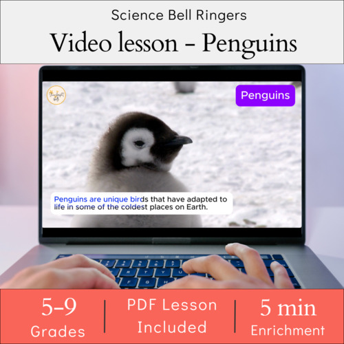 Science bell ringer video (4 min) - Penguins - Middle school | TPT