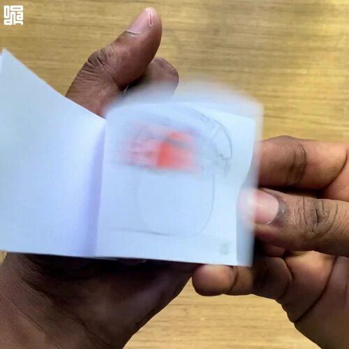 Chicken Egg Development FlipBook with Coloring Pages, Educational Printable