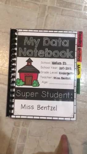 Student Data Notebooks by Sunny Kinder Days | TPT