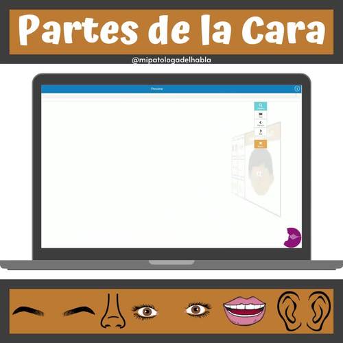 Partes de la Cara Parts of the Face Spanish Boom Cards by Mi Patóloga ...