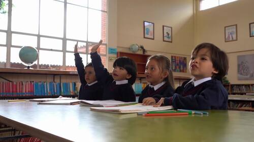 Growing Grammar - Noun/Verb Agreement Interactive Minilesson and Activity