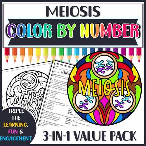 Meiosis Color by Number | Cell Division | Biology Review Worksheets ...