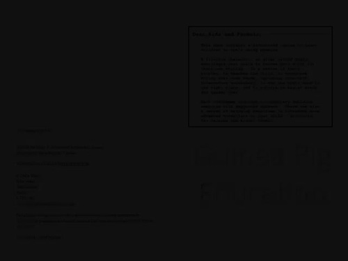 Mission Vocabulary (US English Edition) Grades 2-5 by Guinea Pig Education