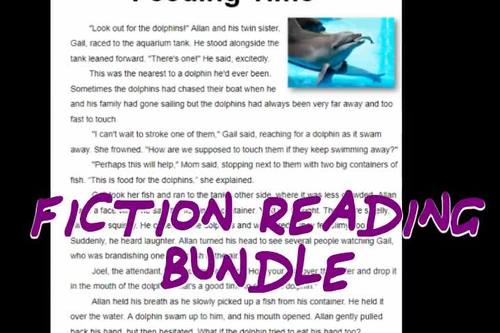 Reading Comprehension Passages & Questions {Fiction Bundle} 2nd & 3rd ...
