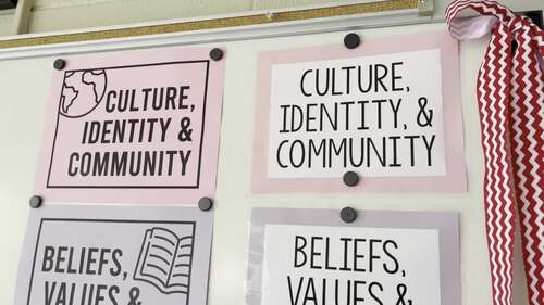 Global Issues Posters - IB Literature DP by Allie Seiler | TPT