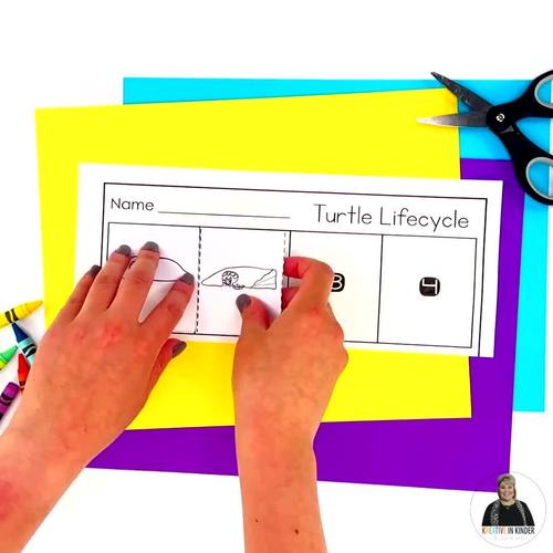 Life Cycles Bundle by Kreative in Kinder | TPT