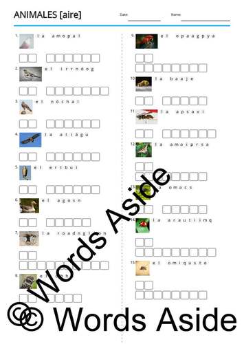 Spanish Vocabulary Worksheets Cards Crossword Word Search Anagram AIR ...