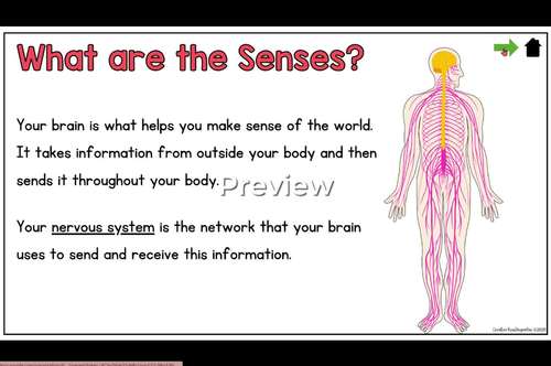 Five Senses Science Unit with Digital Slideshow and Printable Activities