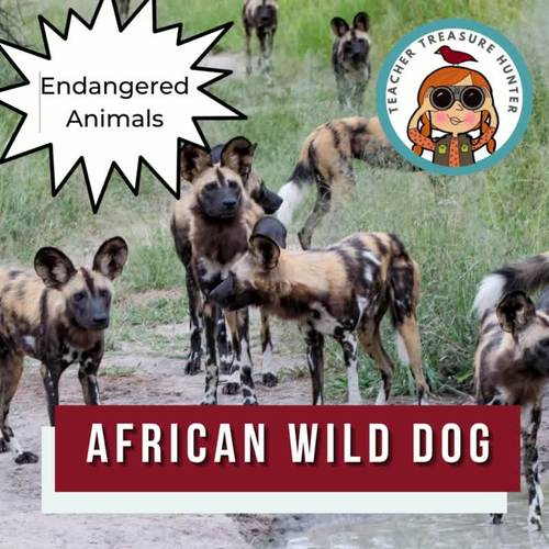 Endangered animal African wild dog information page for animal report