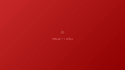 Human Body Systems Vocab Trainer Anatomy Vocabulary Activity | TPT