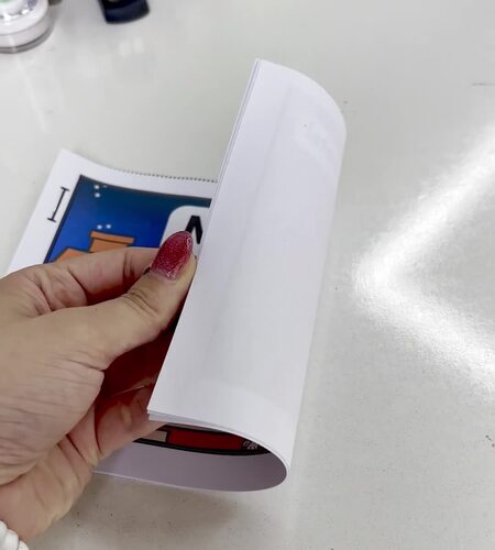 Printable Pet-Themed CVC Sight Word Reading Mini Book by Molly Jo Designs